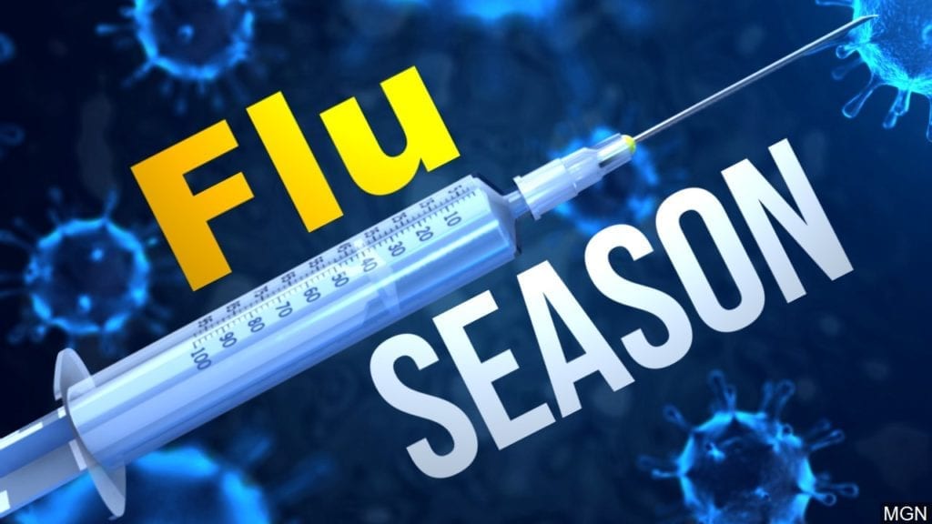 Flu, other respiratory viruses circulating in state - news