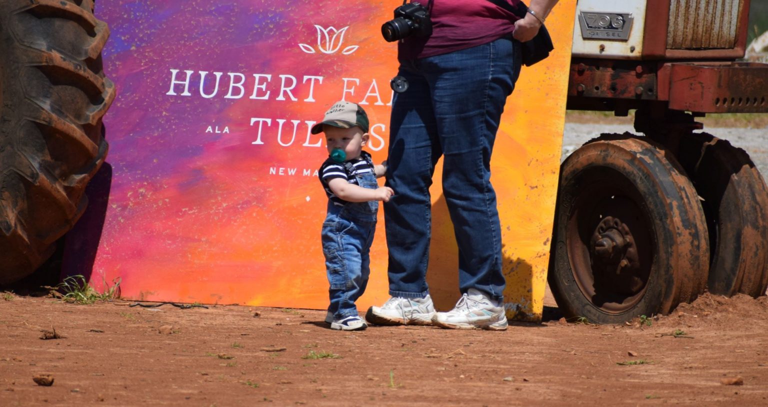 Hubert Family Farms finding success with area's first "pick your own ...