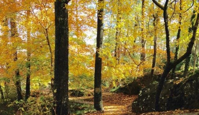 North Alabama Fall Color Trail: Best places to see fall foliage in ...
