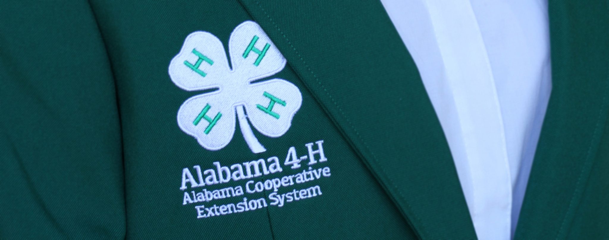 Alabama 4-H Ambassador applications now open - news