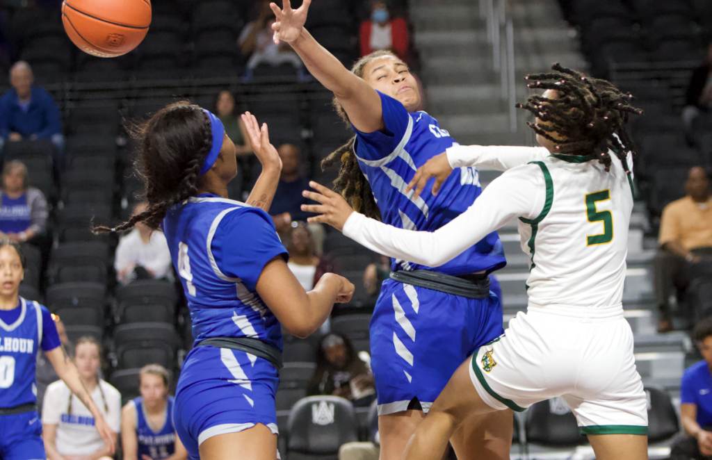 Calhoun Lady Warhawks defeat Bishop State in state quarterfinals ...