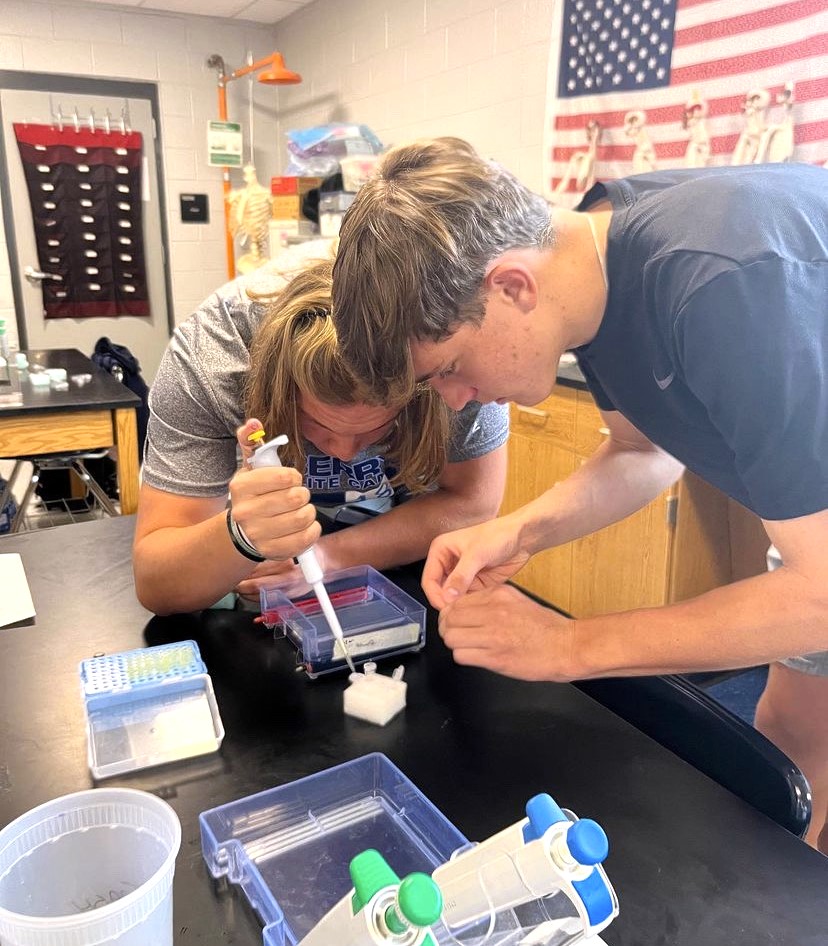 MCS fares excellently in state department’s ‘Report Card’ - news