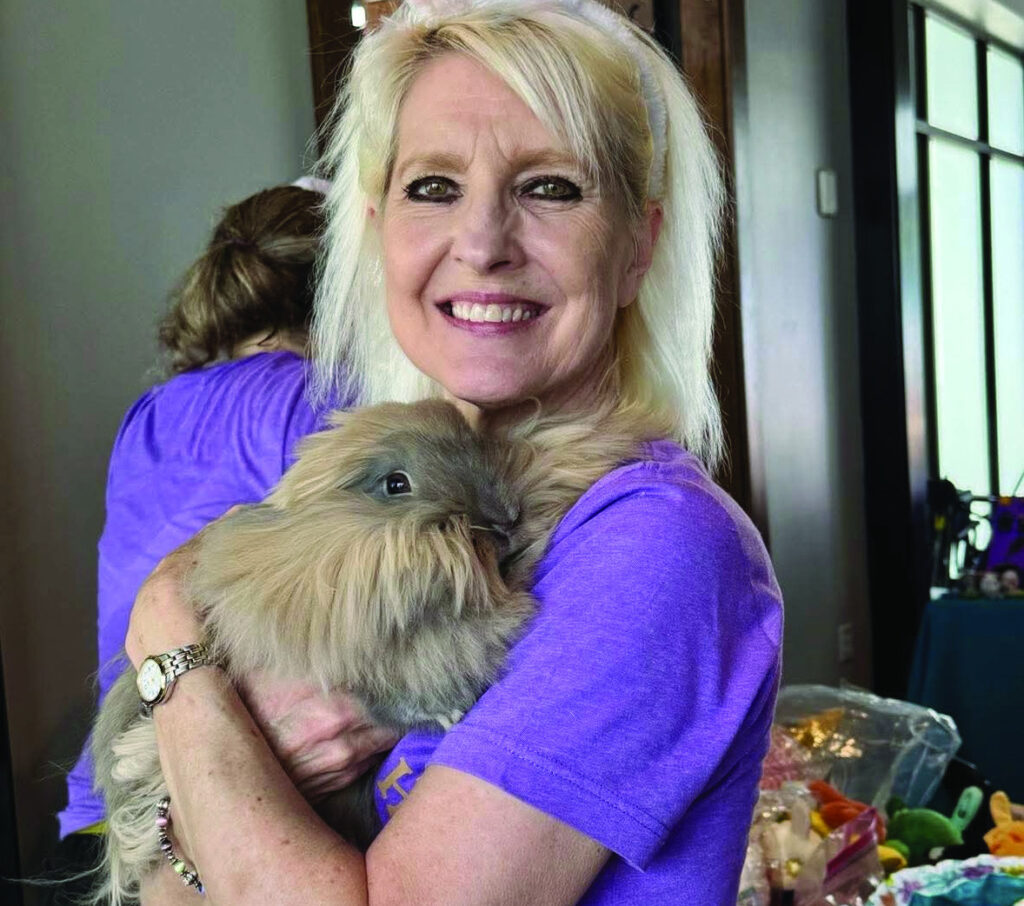 Local nonprofit works to rescue domestic rabbits - news