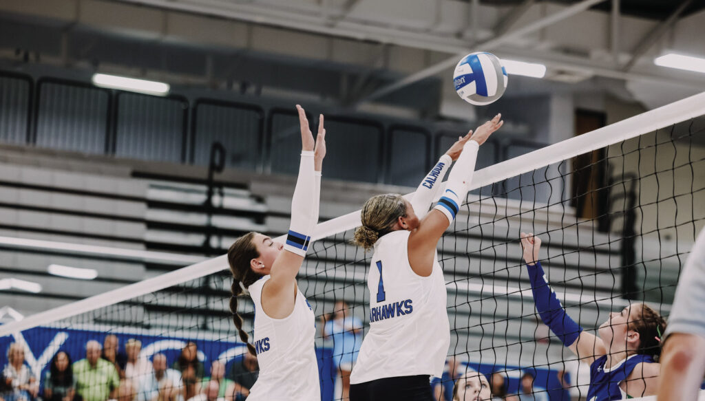 Ranae Bartlett wins Madison mayor's race - news