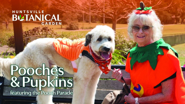 Ranae Bartlett wins Madison mayor's race - news