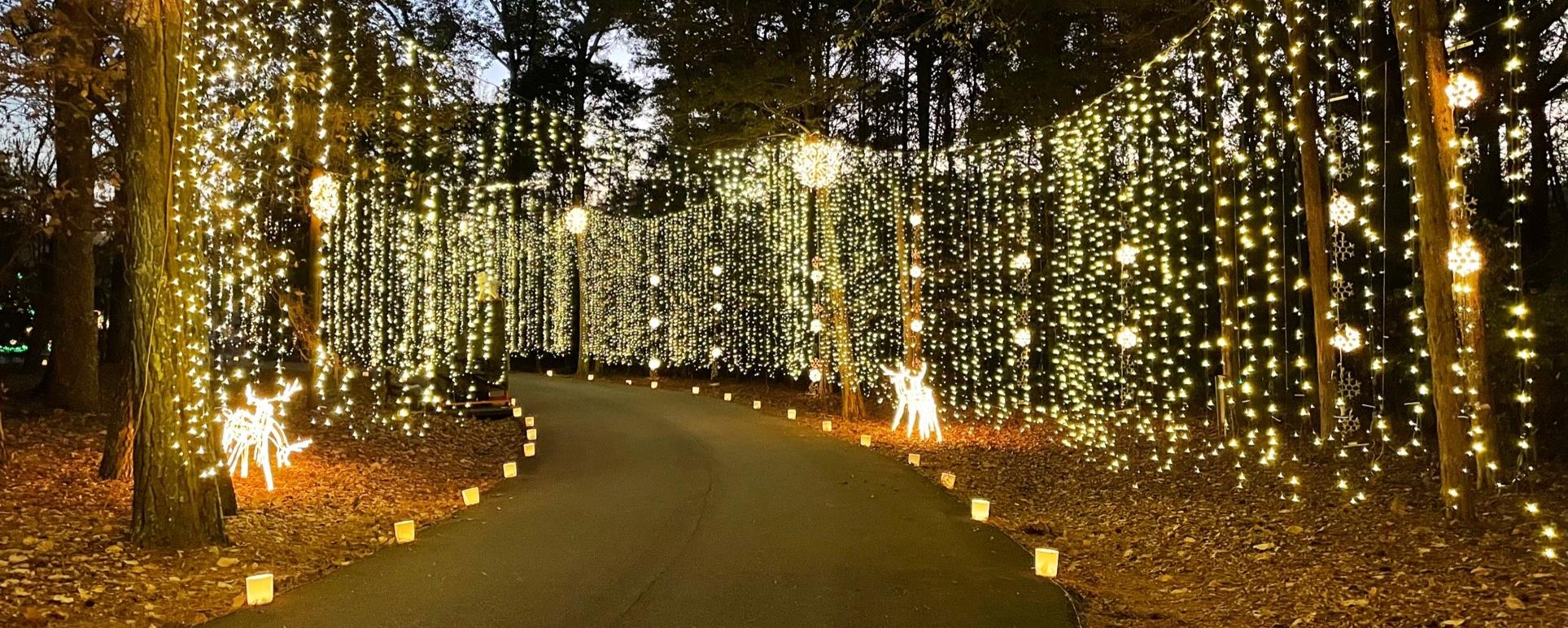 Brig. Gen. Allen J. Pepper assumes USASAC command during ceremony at ...
