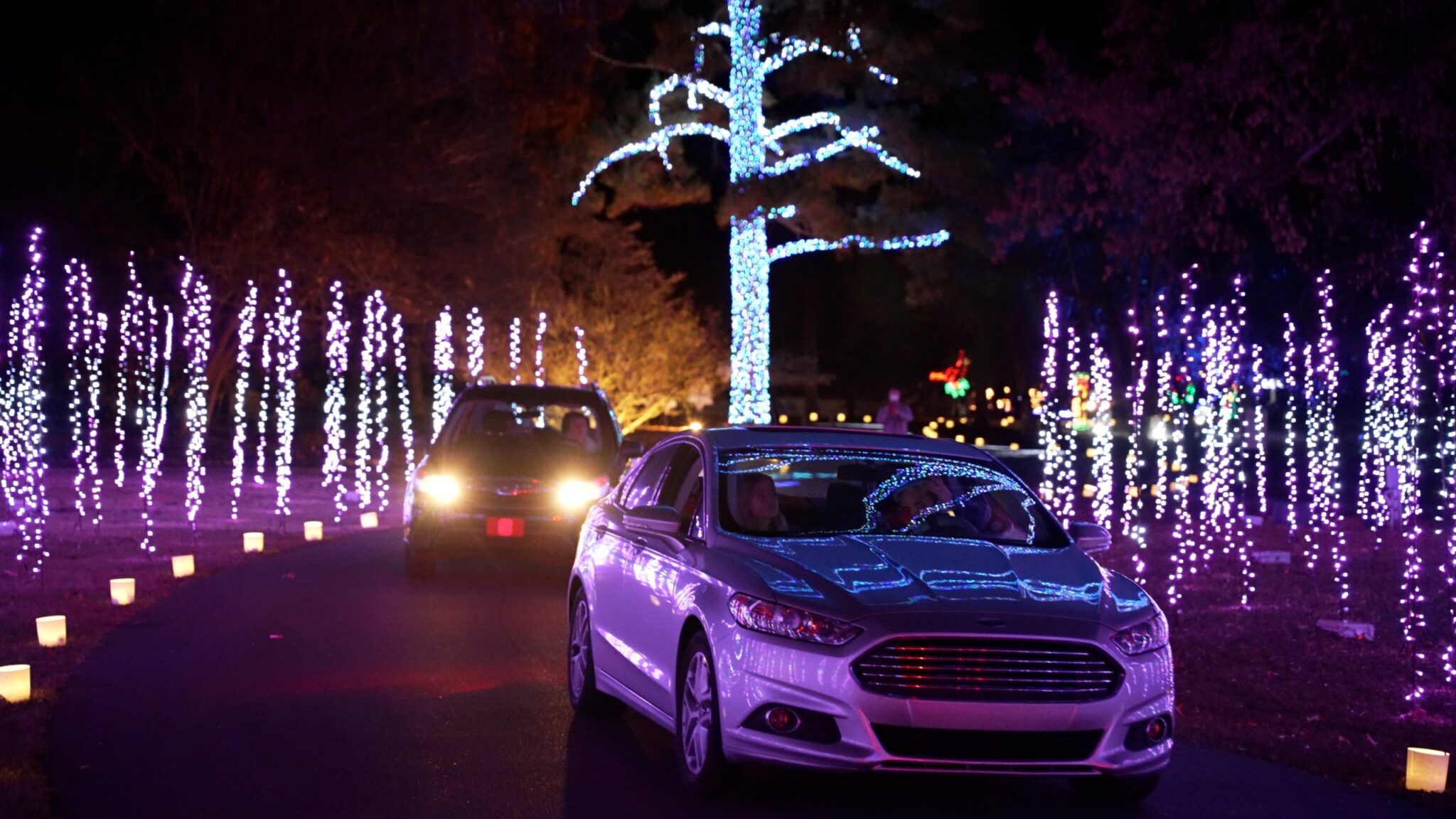 Driving Nights return to Galaxy of Lights at Huntsville Botanical ...